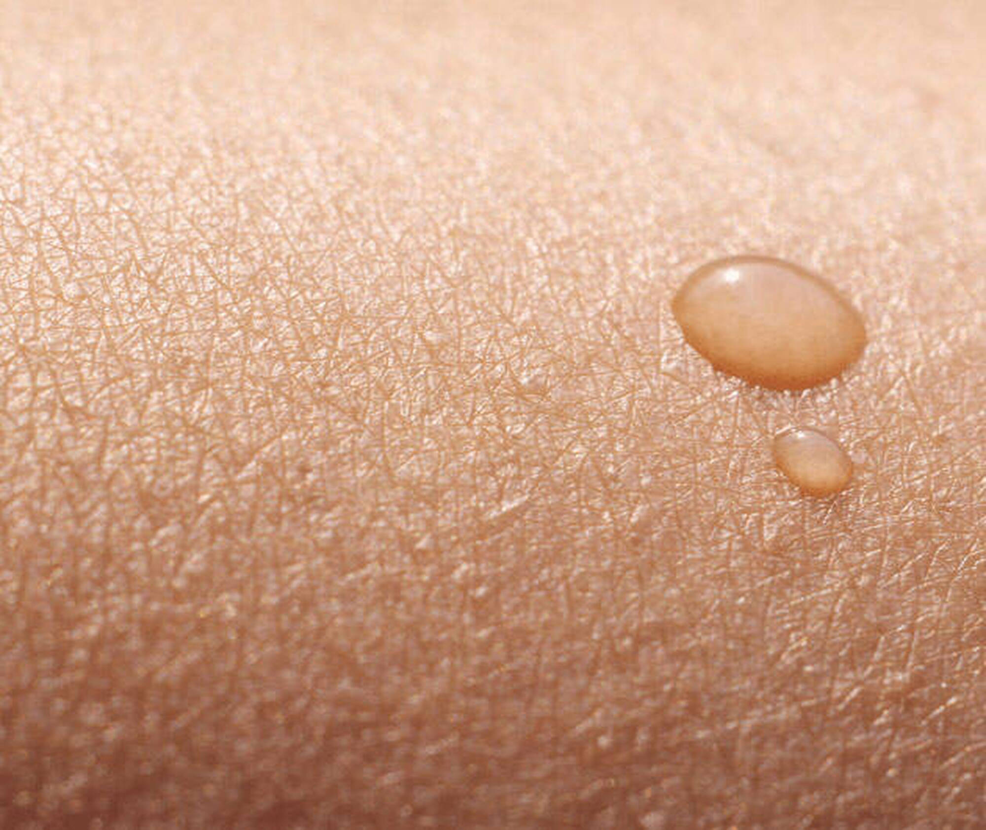 Emollience Face Moisturizer for Dry Skin | SkinCeuticals